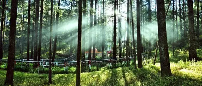 Hamilton Palace | Tourist Attraction